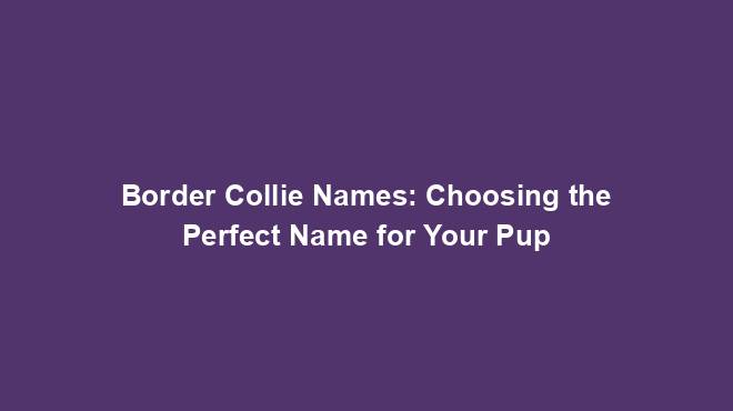 Border Collie Names: Choosing the Perfect Name for Your Pup - Dog Names ...
