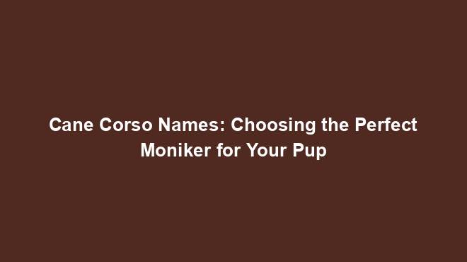 Cane Corso Names: Choosing the Perfect Moniker for Your Pup - Dog Names ...