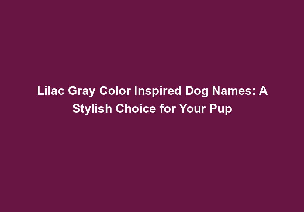 Lilac Gray Color Inspired Dog Names: A Stylish Choice for Your Pup ...